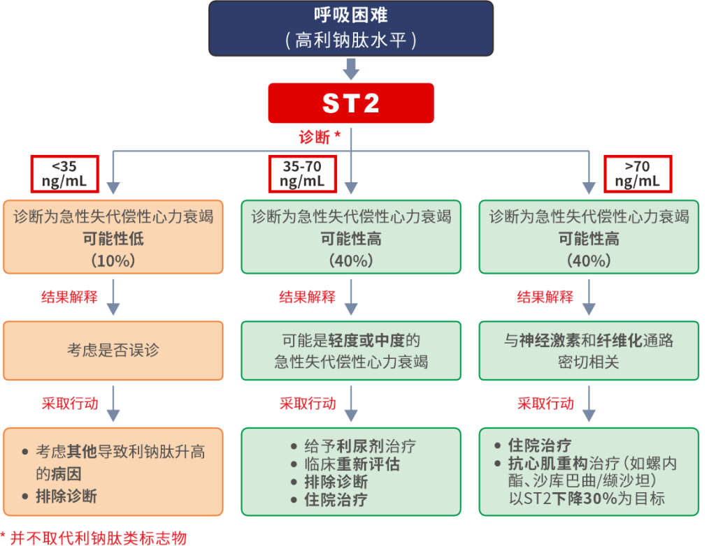 ST2专题 - 巴迪泰